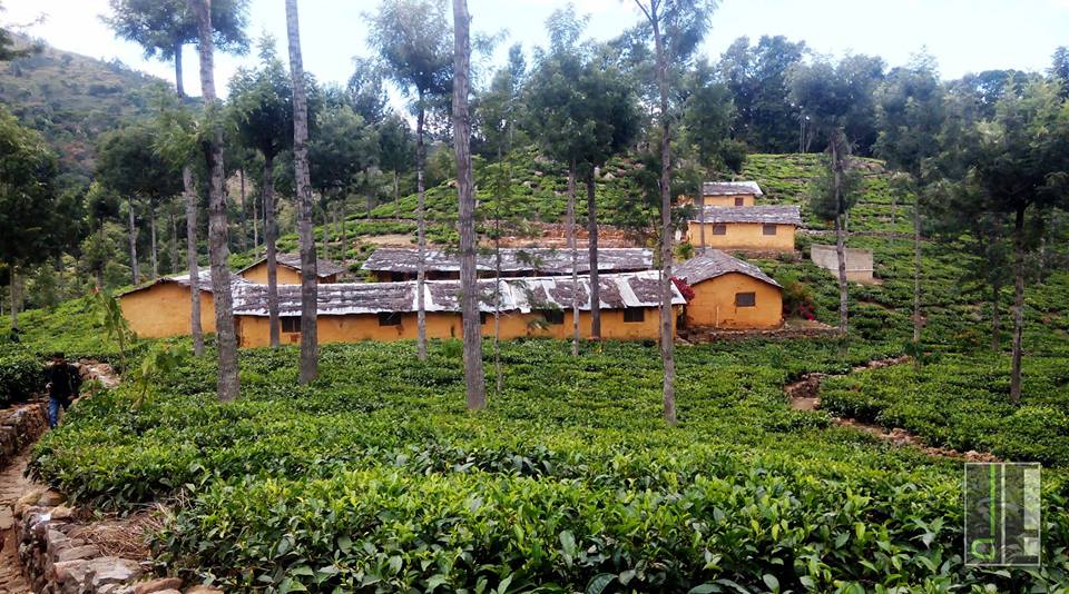 Chengallur,the place near poojappura,trivandrum. ~ keralanews