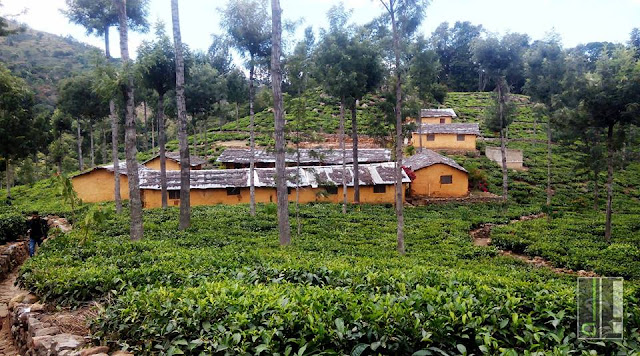 Chengallur,the place near poojappura,trivandrum. ~ keralanews