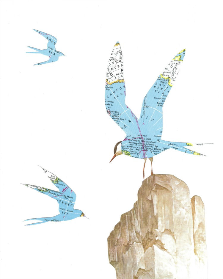 Dadadreams' Original Collage Art: Bird Map Art