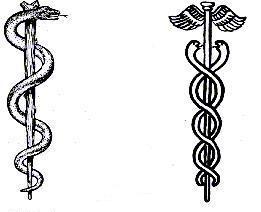 Estudo do Gênesis 2 - A serpente do Éden | Sociedade Sentinela