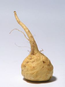 Celeiro Produtos Naturais: Maca – Raiz peruana
