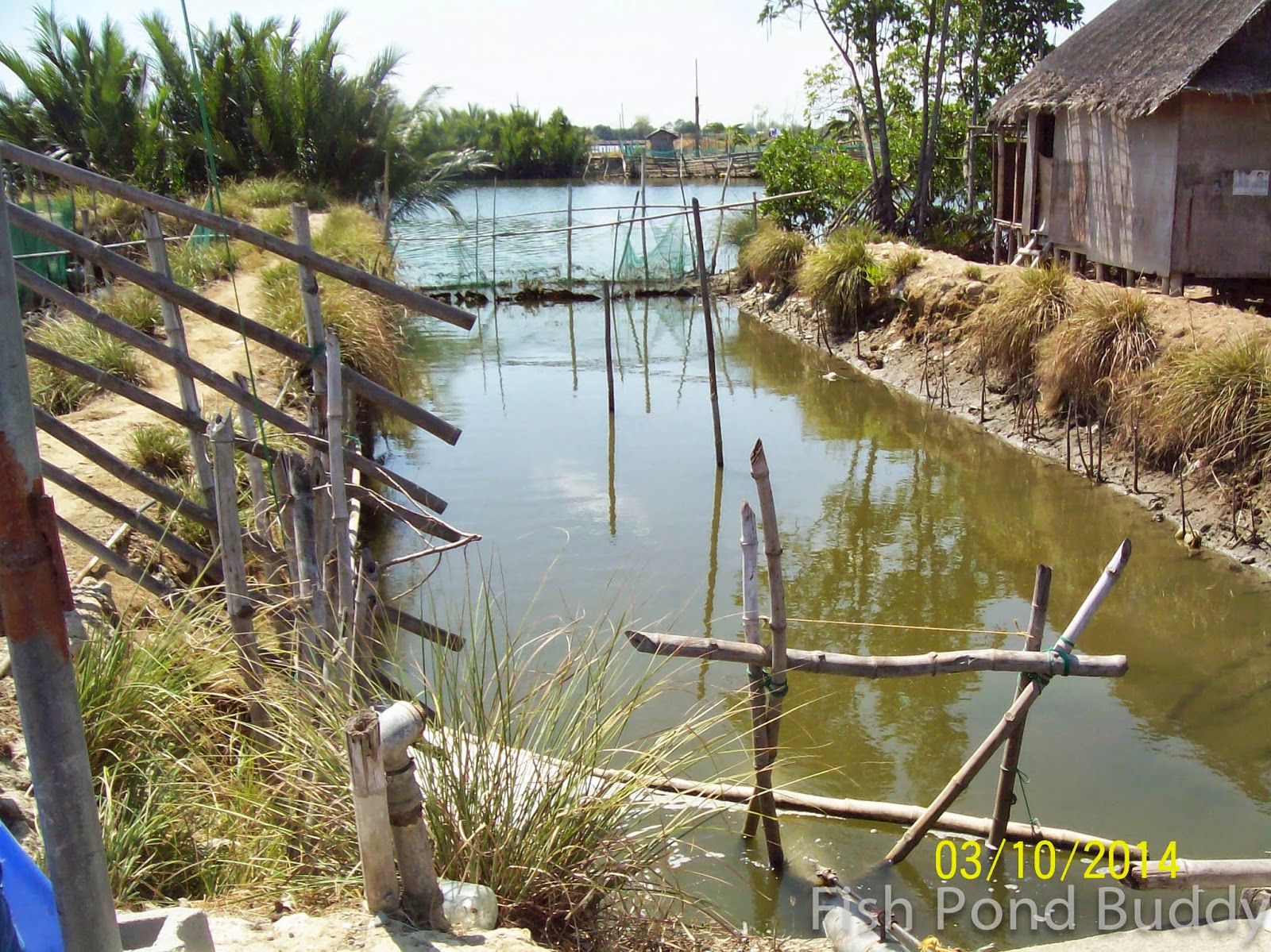 Fish Pond Buddy: Features of a Class A Bangus Pond