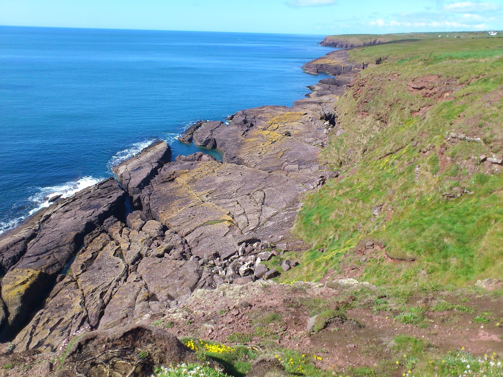 Irish Wildlife Trust...Waterford Branch: Dunmore East Walks Festival