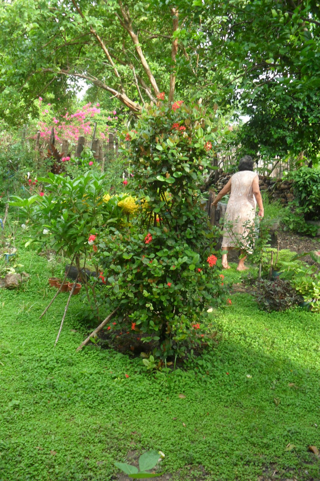 MACTUN: El Jardin De Los Recuerdo!!!!!!!