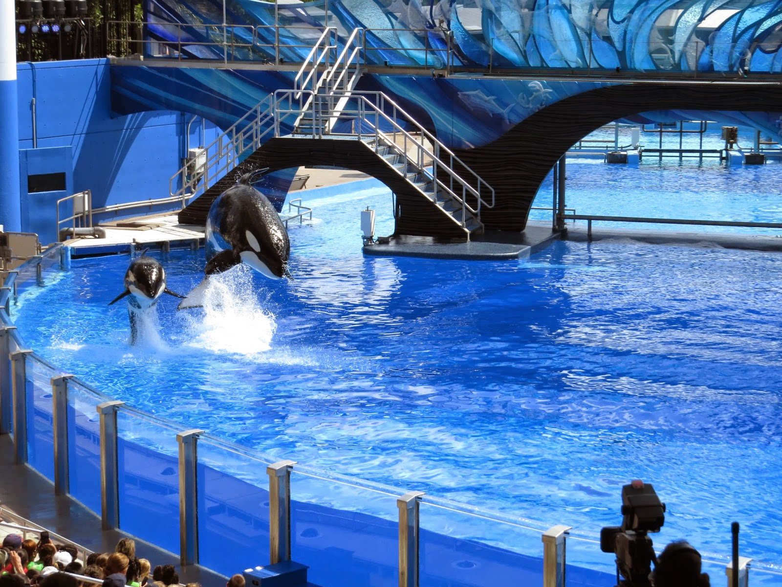 Florida 2014: Seaworld