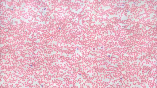 peques del giner : El microscopio