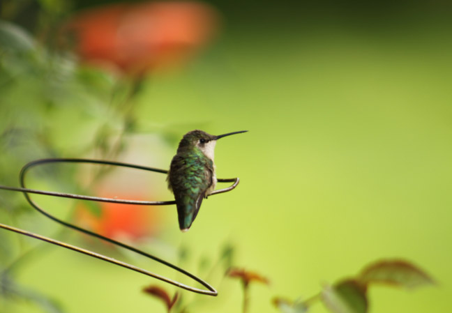 Positively Tuesday: Positively Trouble