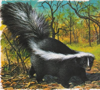 Zoológico Virtual do Koba: Cangambá