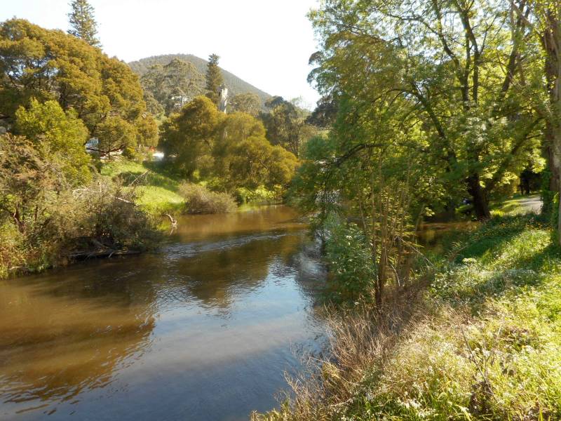 TRACKS, TRAILS AND COASTS NEAR MELBOURNE : Warburton River Walk ...
