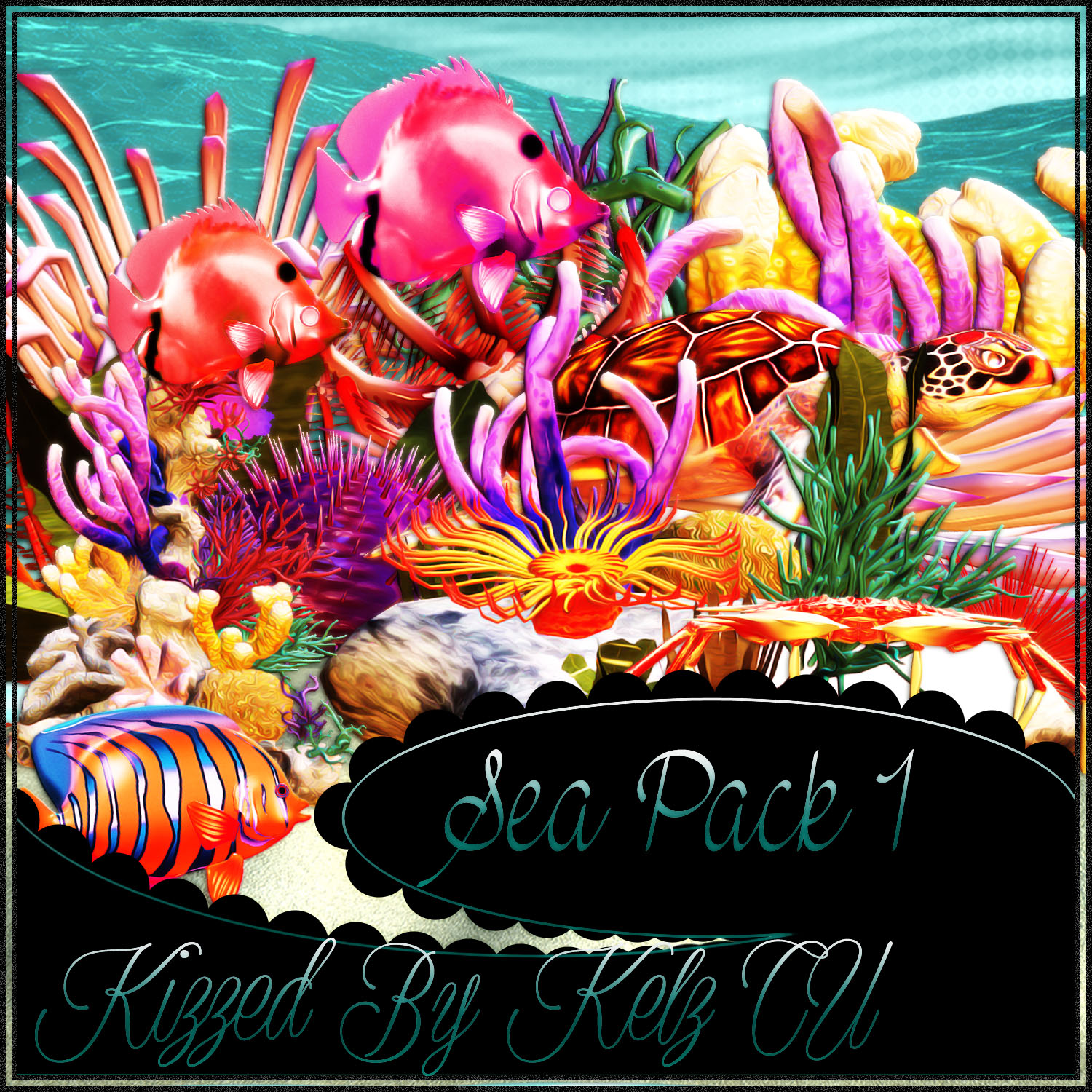 Kizzed By Kelz : 5 New CU/PU Sea Packs in store!