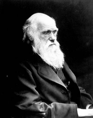 Evolución Humana: Charles Darwin y Su Teoría Evolutiva
