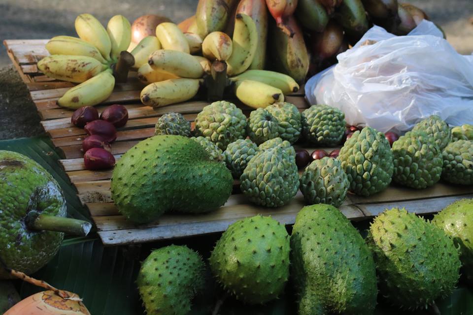 Fruits et légumes des Antilles