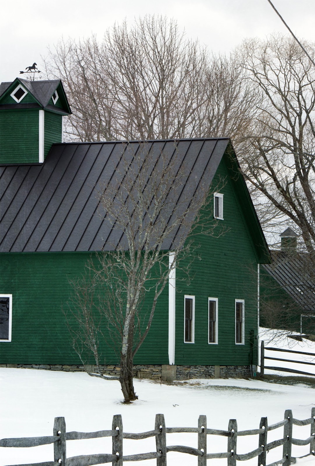I love this splash of green in the snowy landscape,