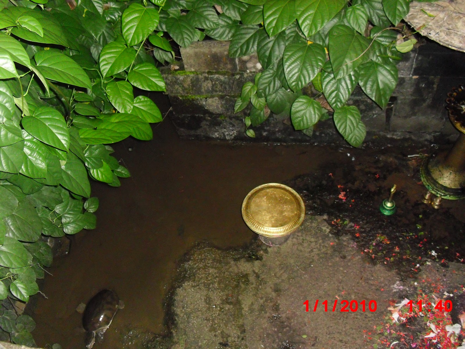 SREENAGARA SHOBANAM: PANACHIKKADU SARASWATHY TEMPLE