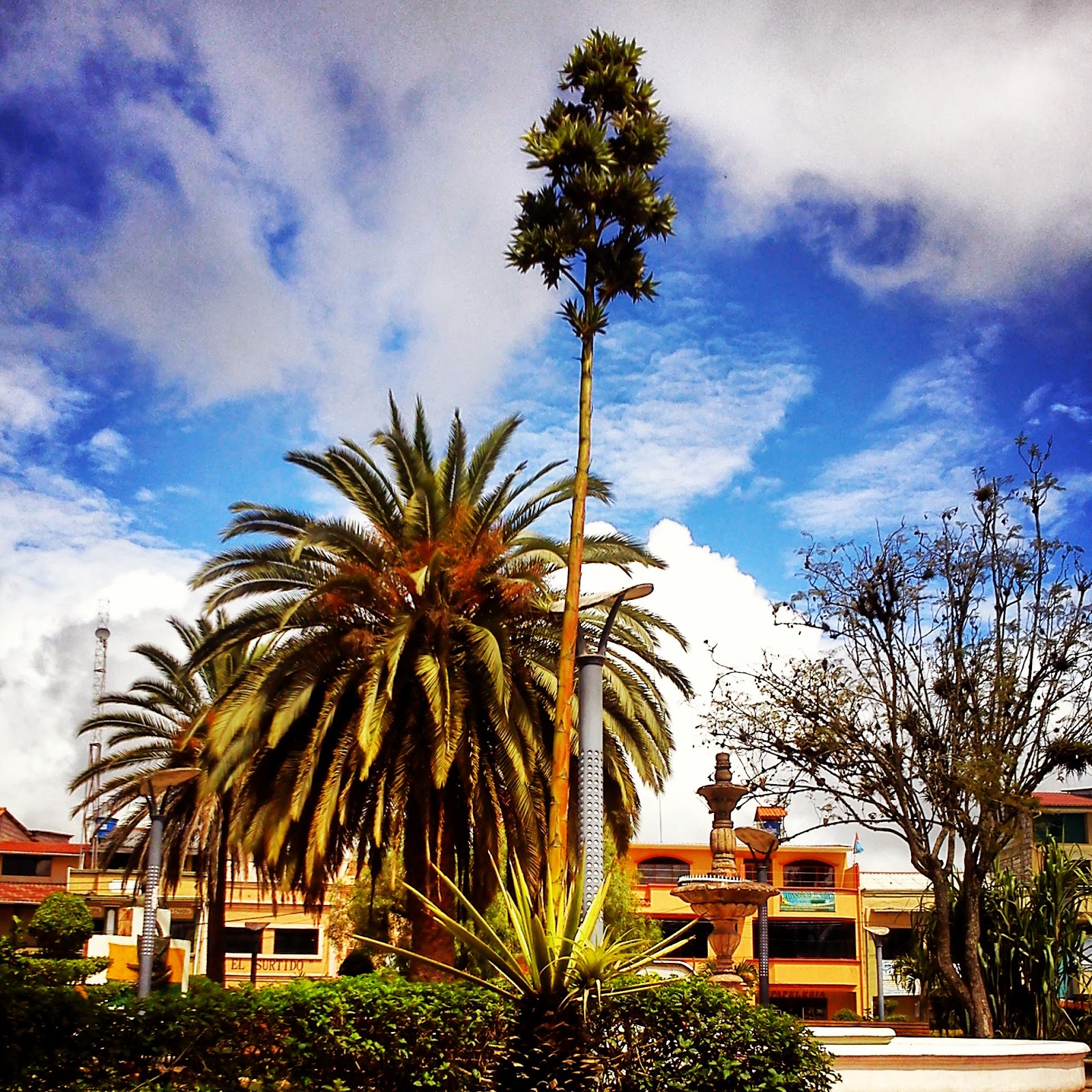 Santa Isabel Azuay Ecuador: diciembre 2014