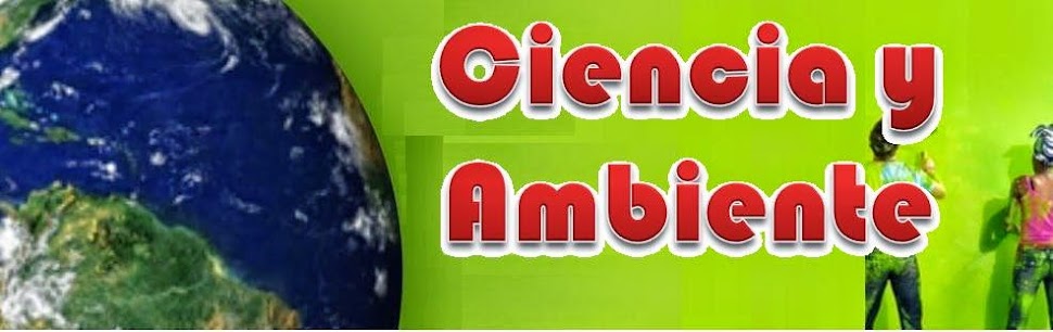 Ciencia y ambiente: SESION N° 4 CONTENIDOS DEL AREA DE CIENCIA Y AMBIENTE