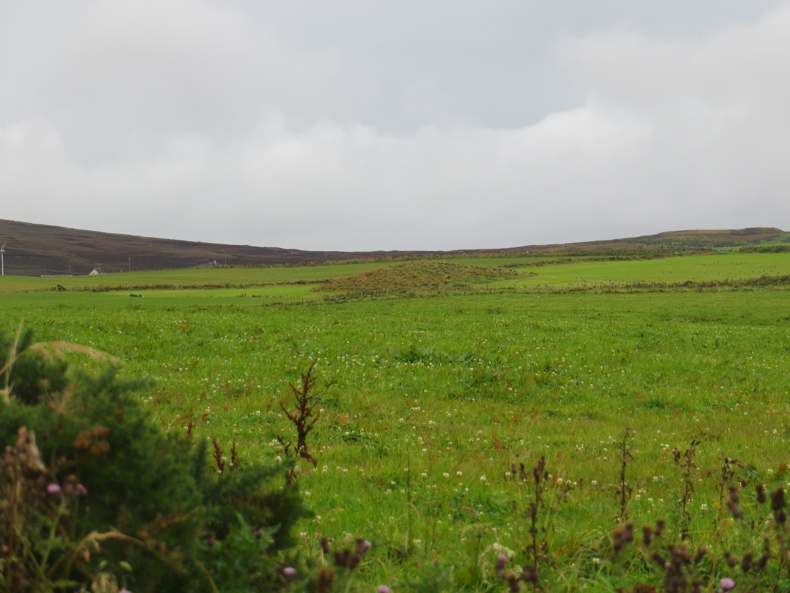 The Faery Folklorist: The Trows of Orkney and Shetland