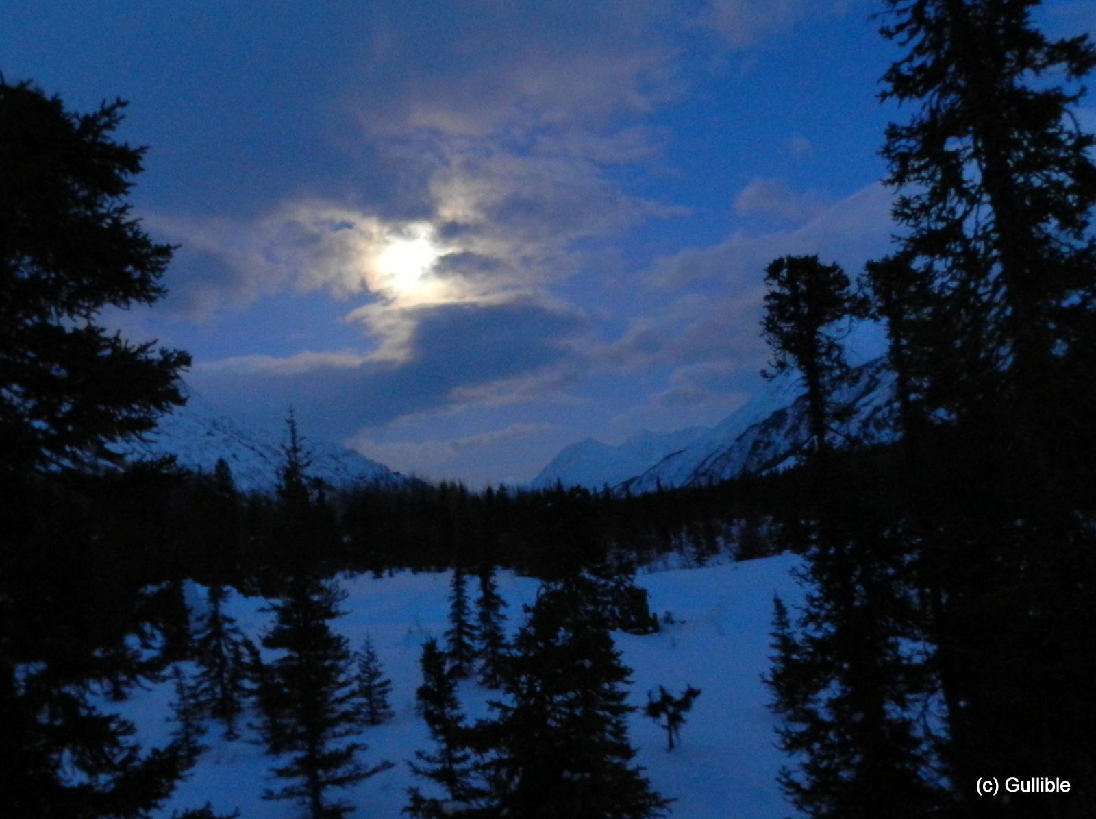 Gullible's Travels: Ambient Ambiance, Day and Night