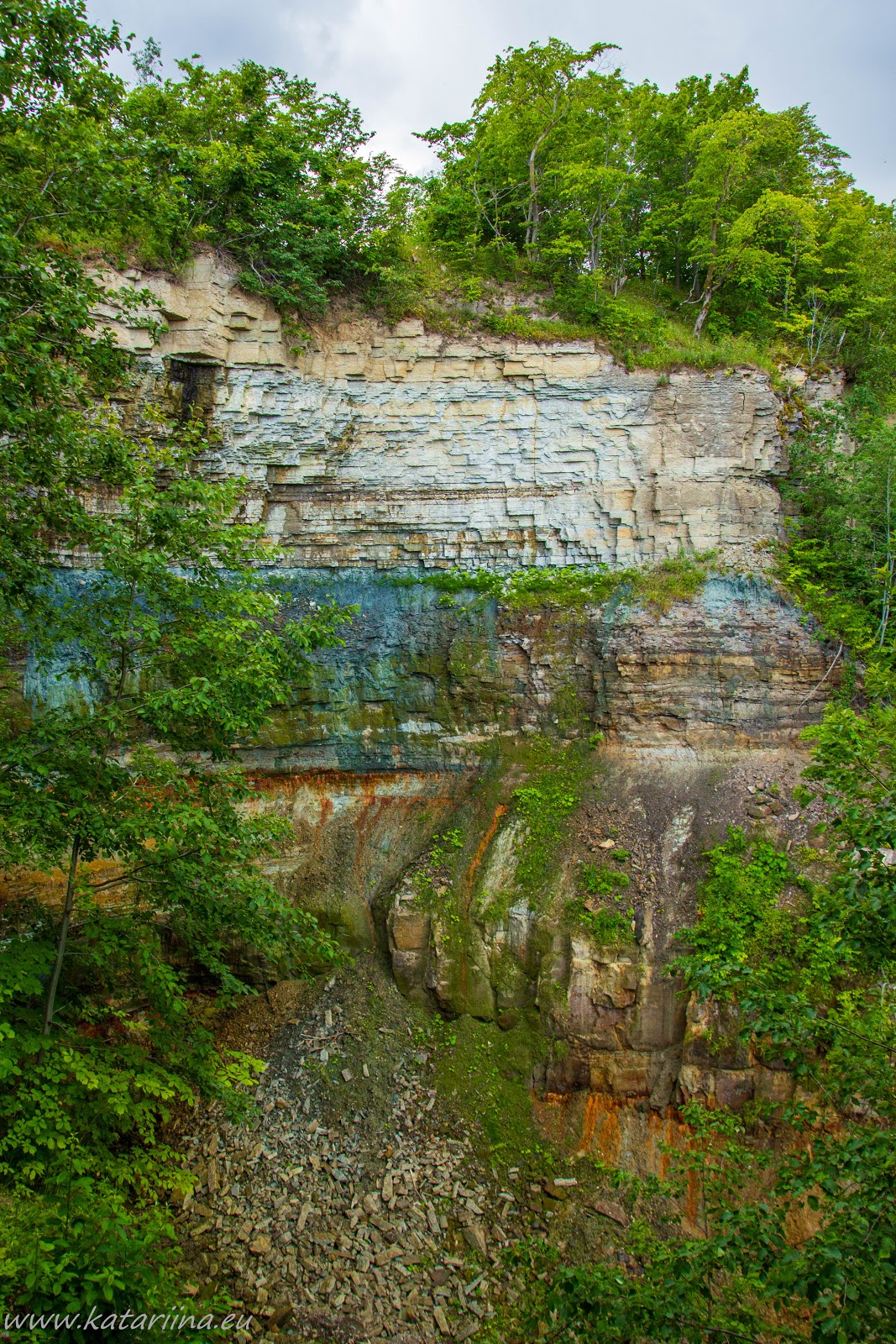 Katariina kudugurmee: Ontika pankrannik.