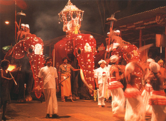 SAMEERA'S BLOG: NUWARA PERAHERA SRI LANKA
