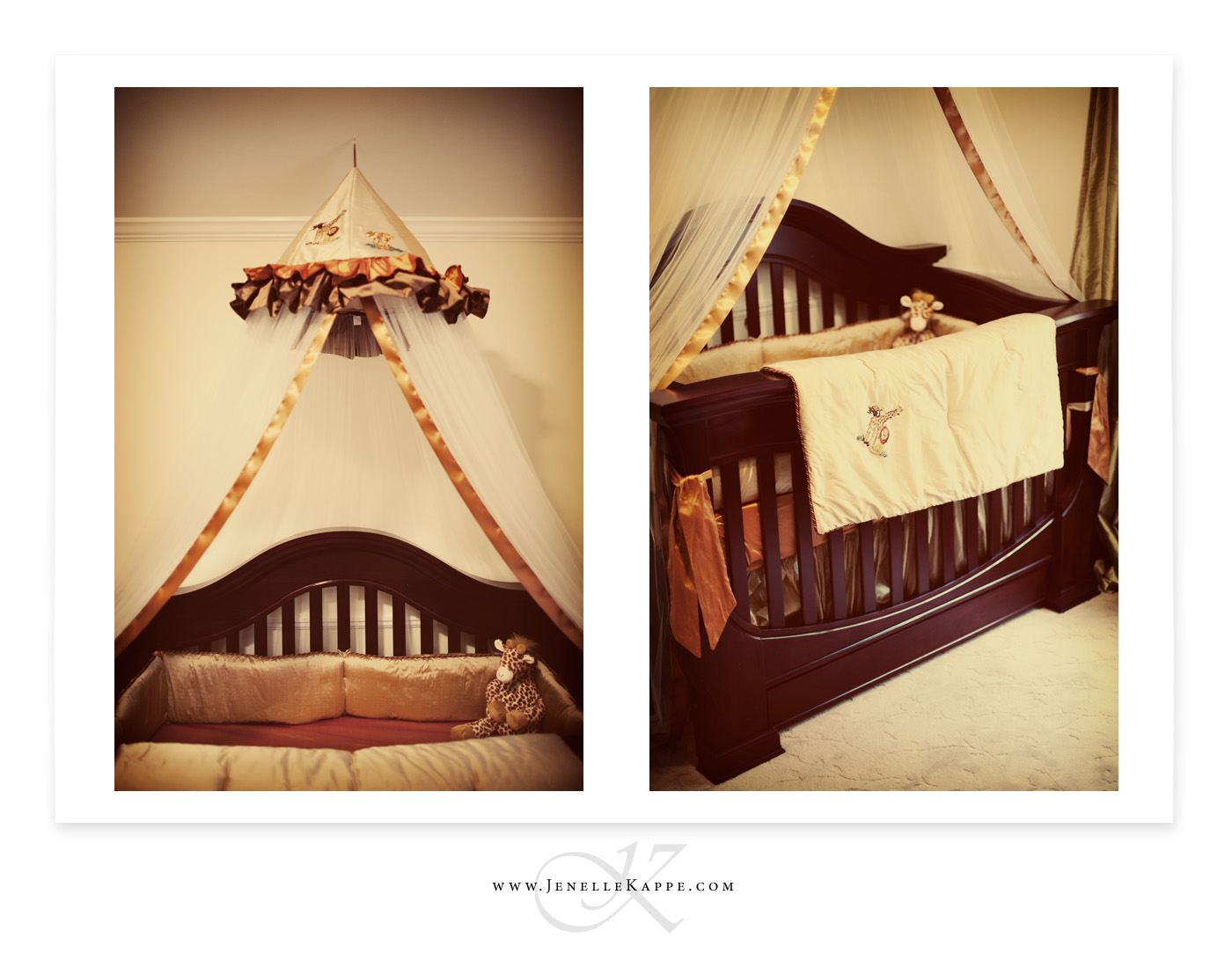 Jenelle Kappe Photography: Amelia J. Geier :: Newborn :: 5.29.11