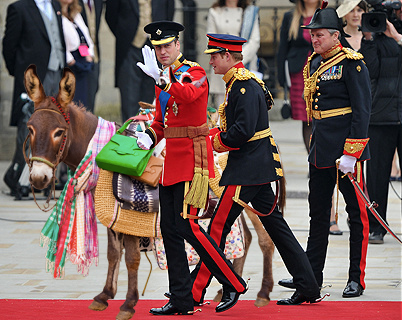 Fun and Basics: LADY AMBROSIA FROM FUNCHESTER IN THE ROYAL WEDDING