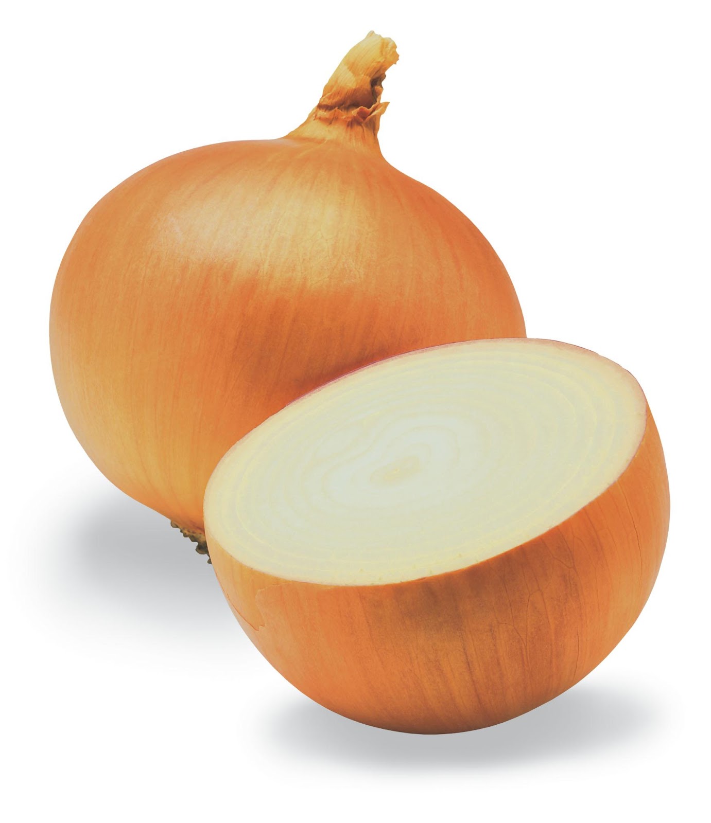 Shana Lee, Foodie, Beauty, and More...