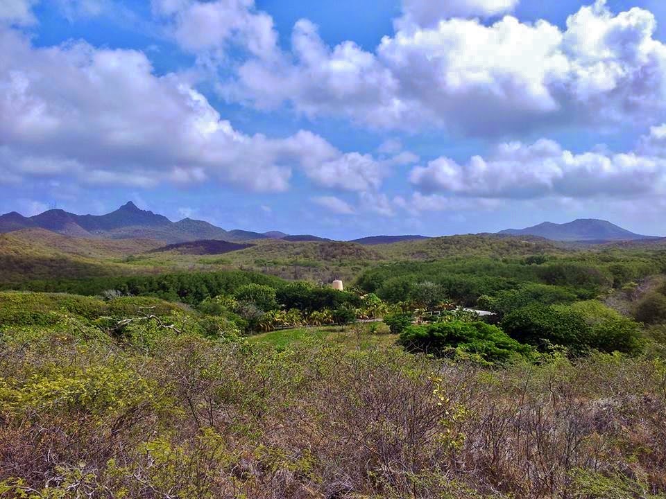 Suus & Co - Curaçao: 9 oktober 2013 Hofi Mango