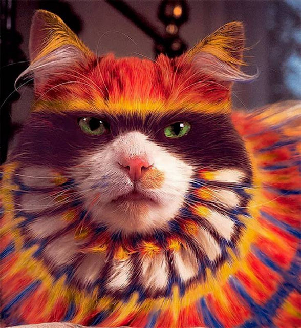 Gatos Mundanos: Gatos pintados