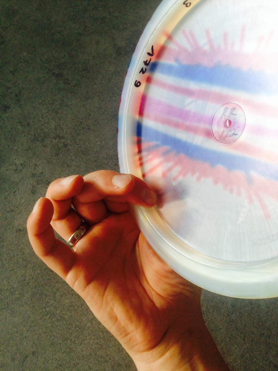 Enjoy Disc Golf and let your Putterfly: Grip