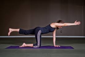 3 Best Lumbar Multifidus Exercises