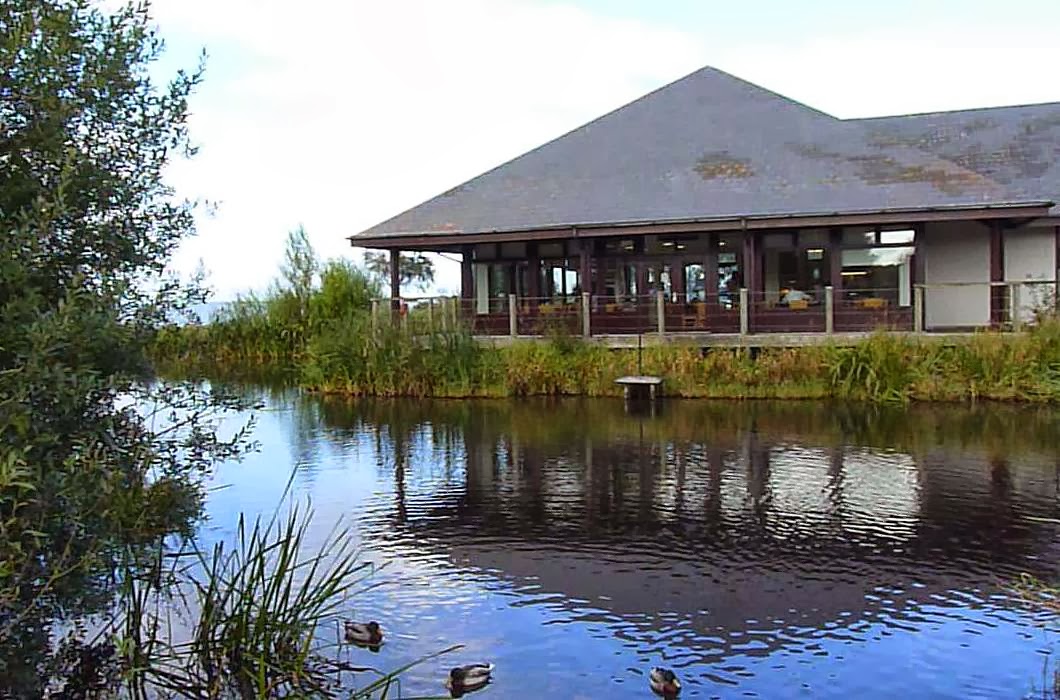 Birding For Pleasure: Oxford Island Discovered