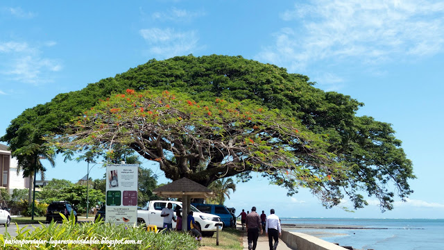 Pasión por Viajar: Lugares inolvidables: Suva