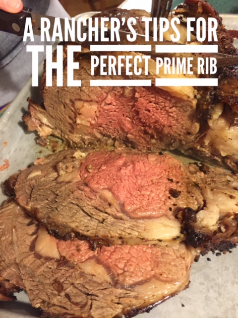 Kids, Cows and Grass: Cooking Prime Rib--tips from a rancher!