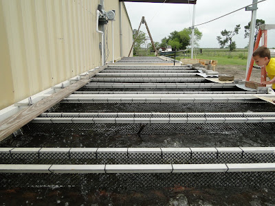 The Smith's House: The Crawfish