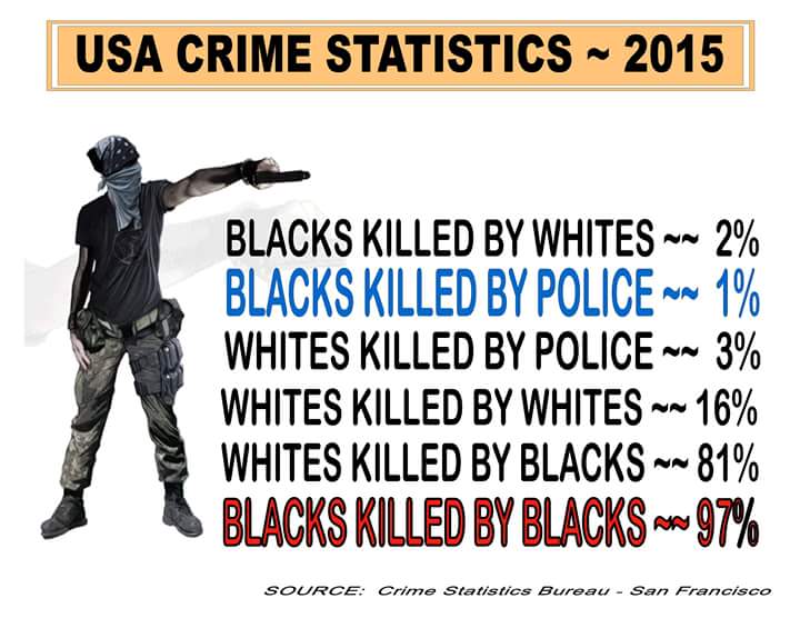 Storm'n Norm'n: USA Crime Statistics ~ 2015