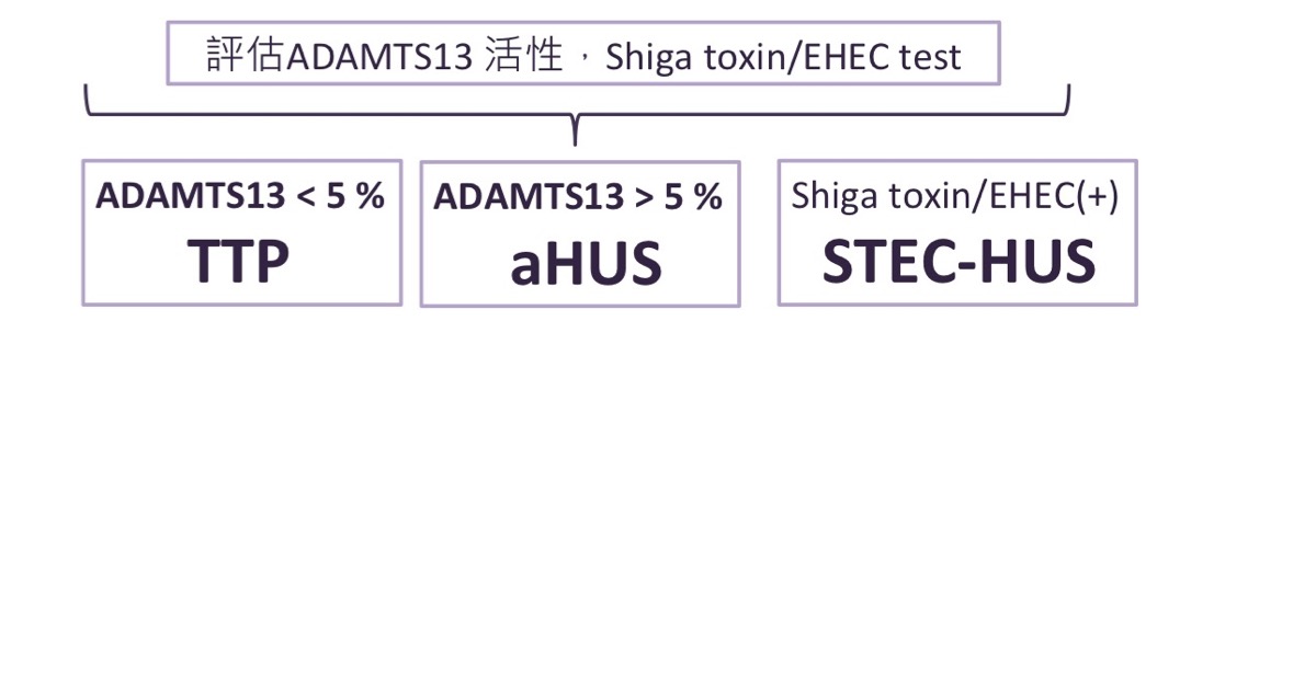 陳鋭溢: 溶血尿毒症候群 （HUS） 栓塞性血小板低下紫斑（TTP） 鑑別診斷