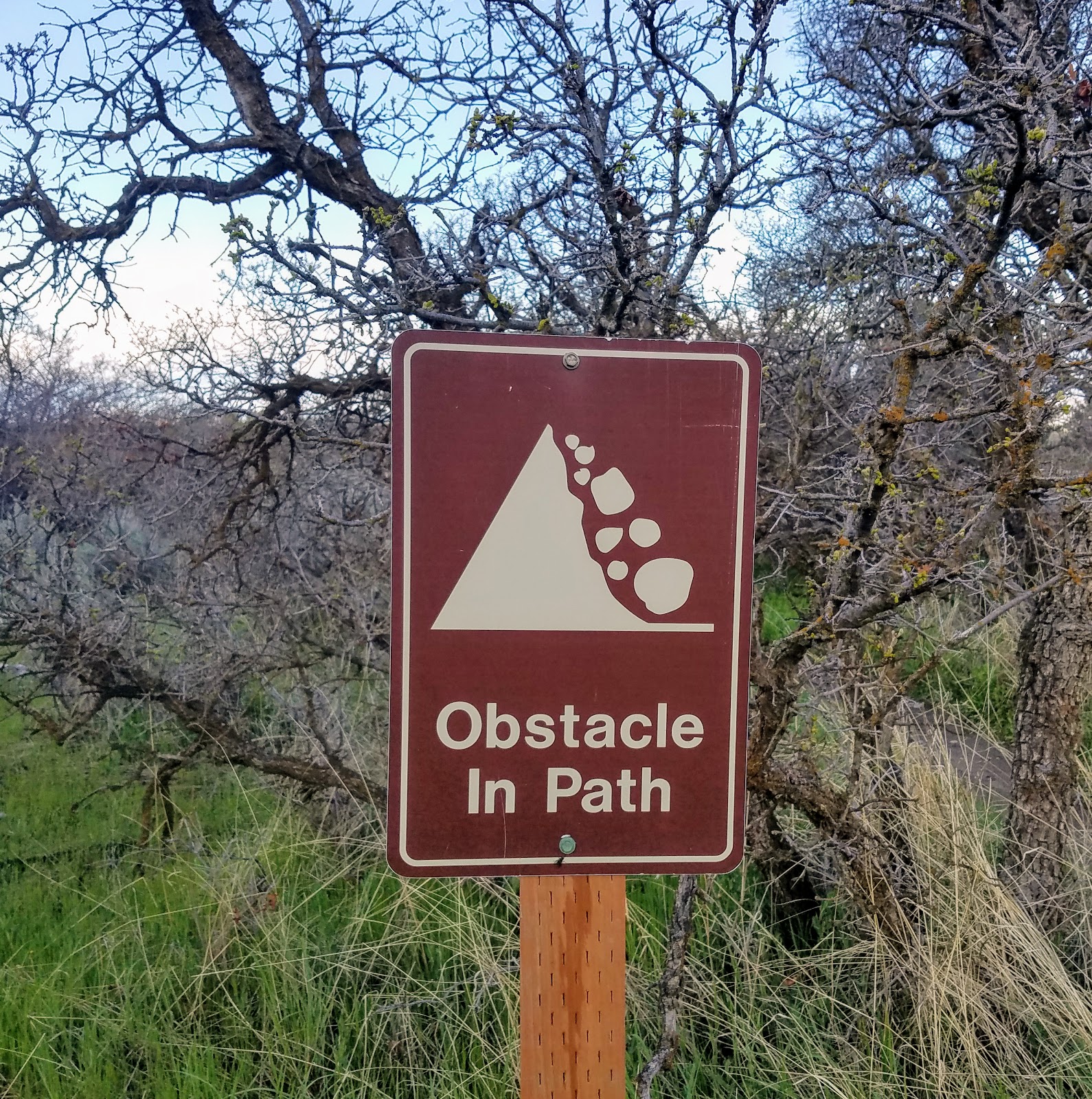 Whistling Prairie: Rocks, Roots and Ruts: Obstacles in Path