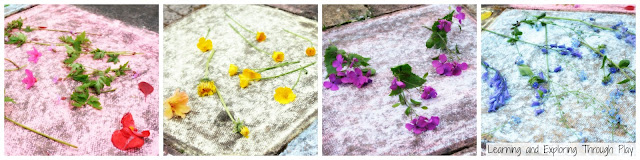 Learning and Exploring Through Play: Learning Colours with Nature