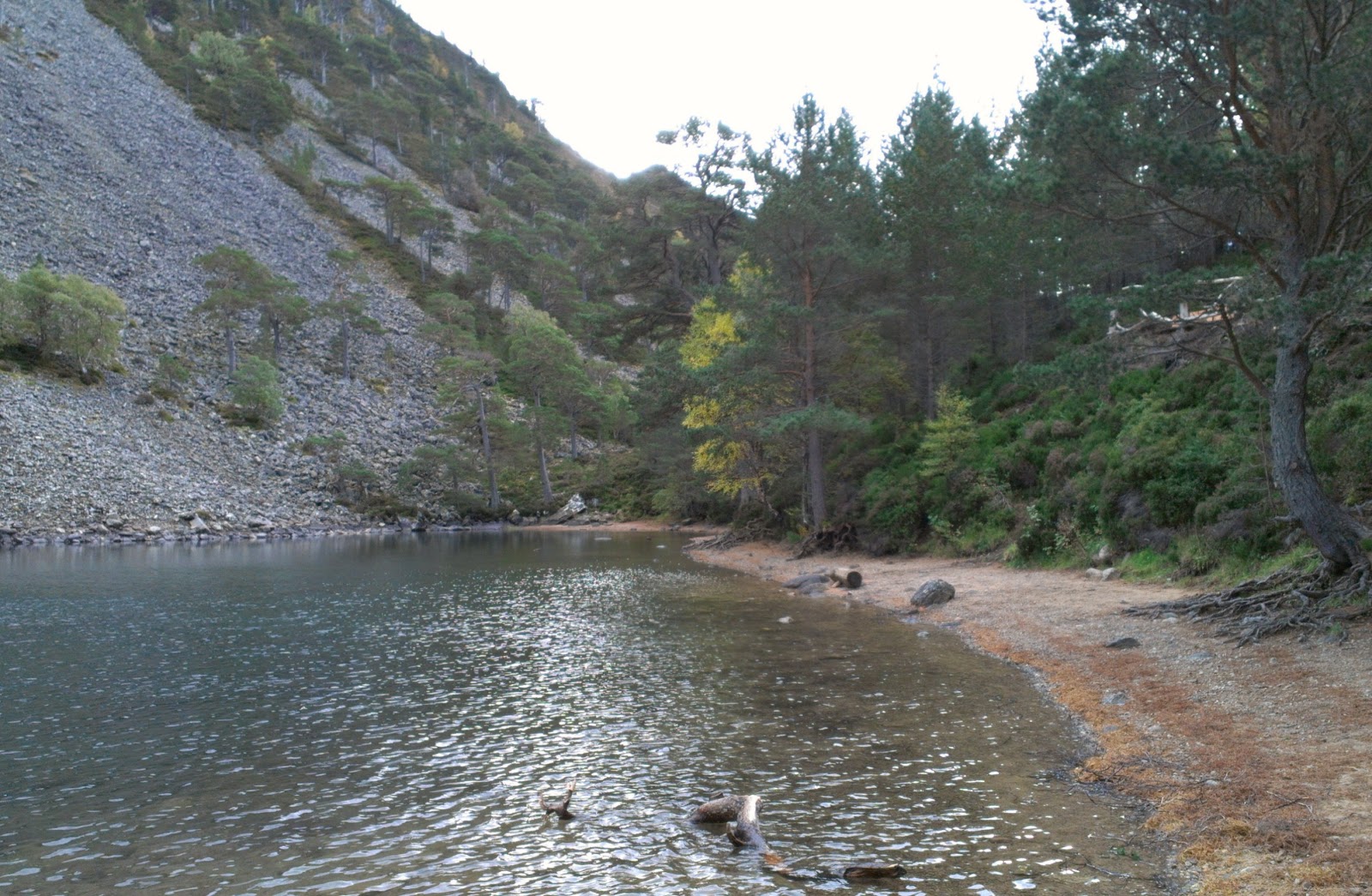 Exploring Scottish Trails: Ryvoan Bothy Circuit