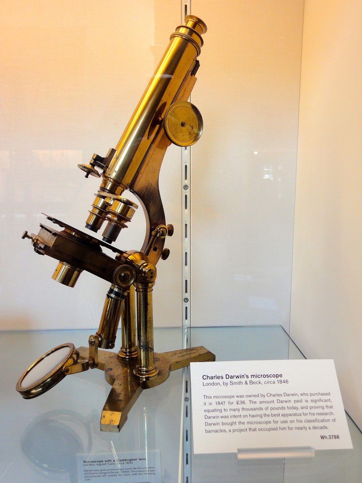 My Summer at The University of Cambridge: August 2013