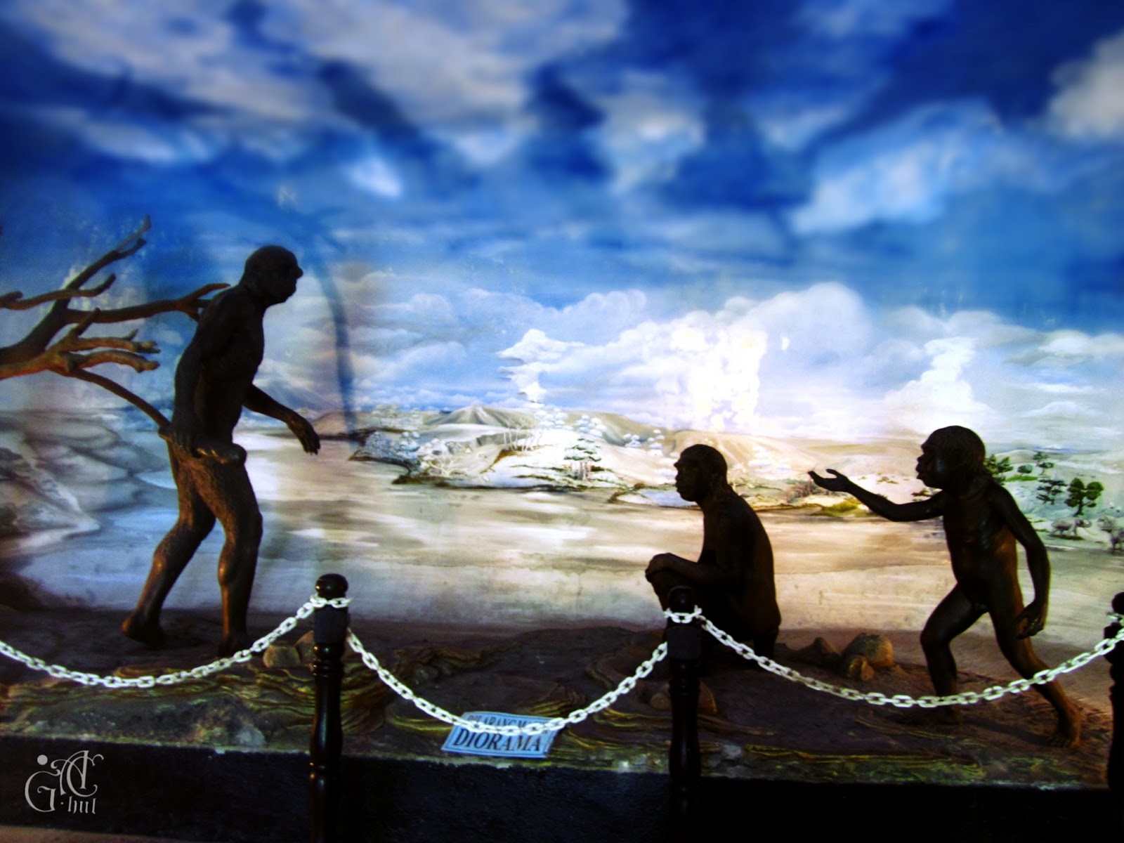 Adventrave: Museum Trinil – Trinil Menantang Dunia (Nasibmu Kini)