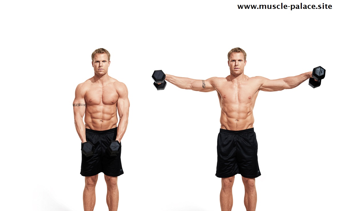 Muscle Palace: Best Exercises for Big Shoulders