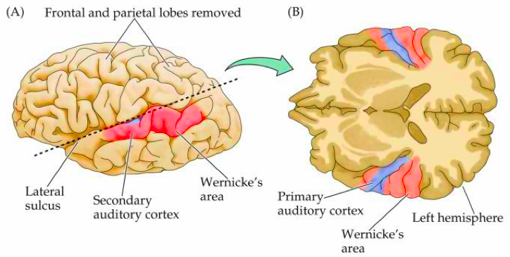 Ten Things That I Learned Today