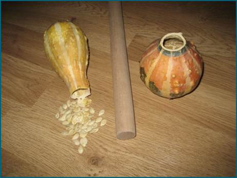 MyMusicalMagic: Making Maracas out of Gourds