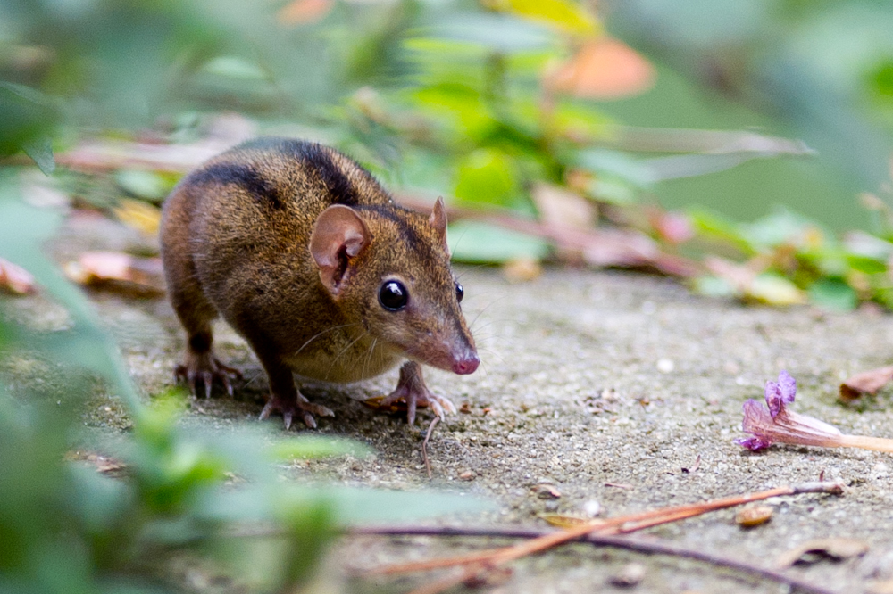 Natureza, Perfeição sem tamanho...