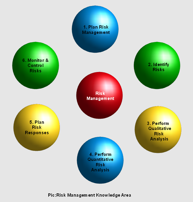 Project Management Profession (PMP)