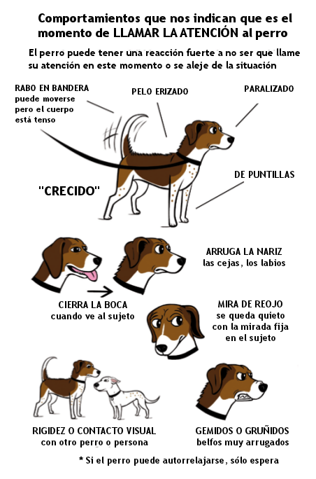 Etología Familiar: enero 2013