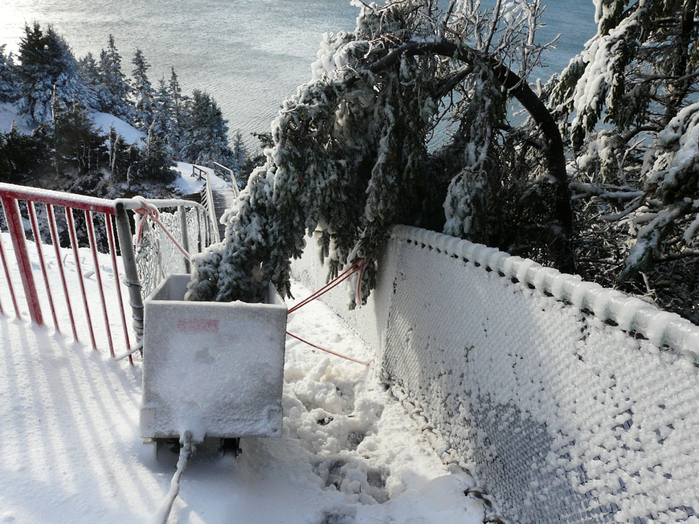 Swallowtail Keepers Society: Freezing Spray Warning - Blizzard 2013