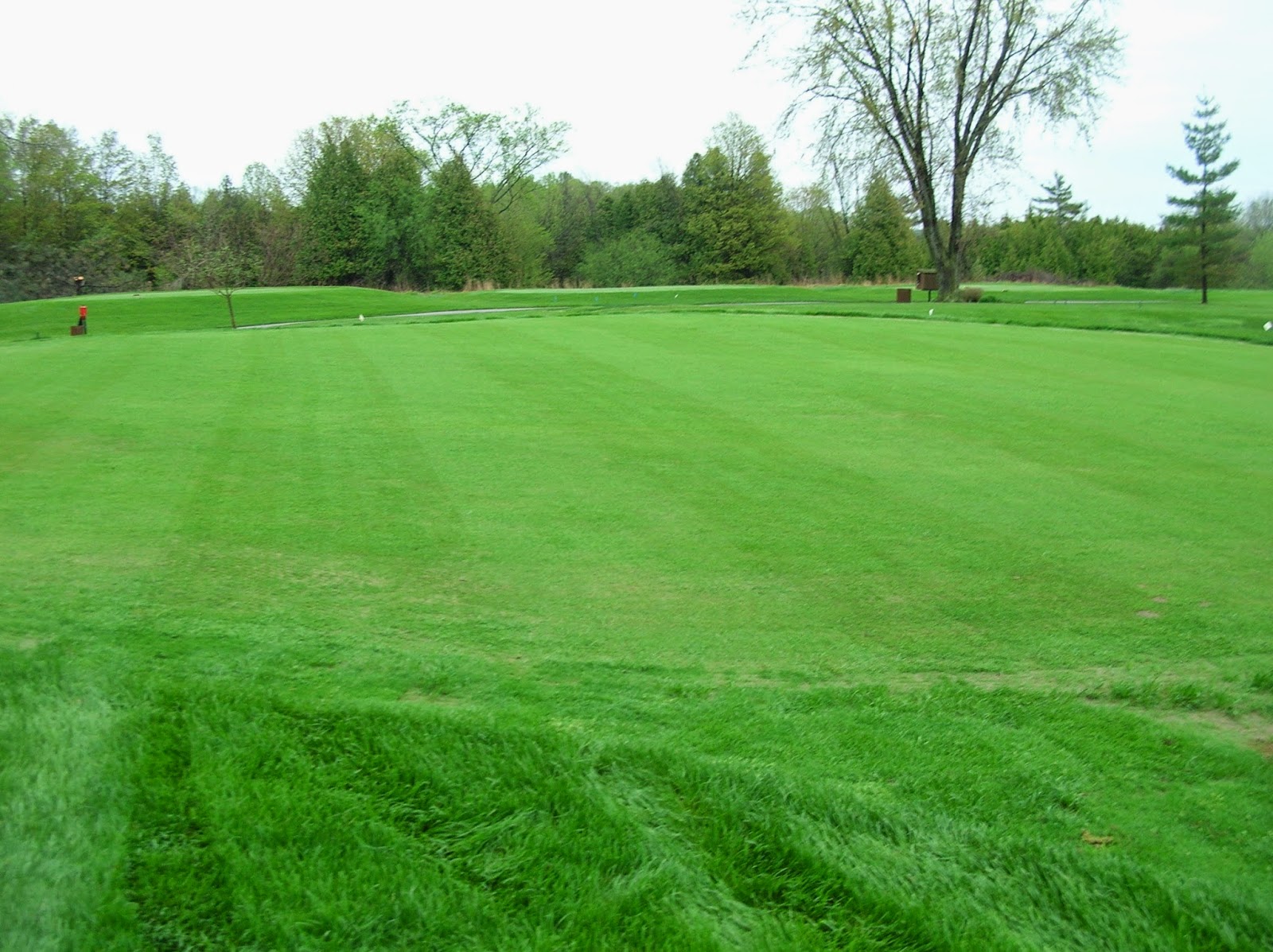 Whitevale Golf Club: Finally, opening day